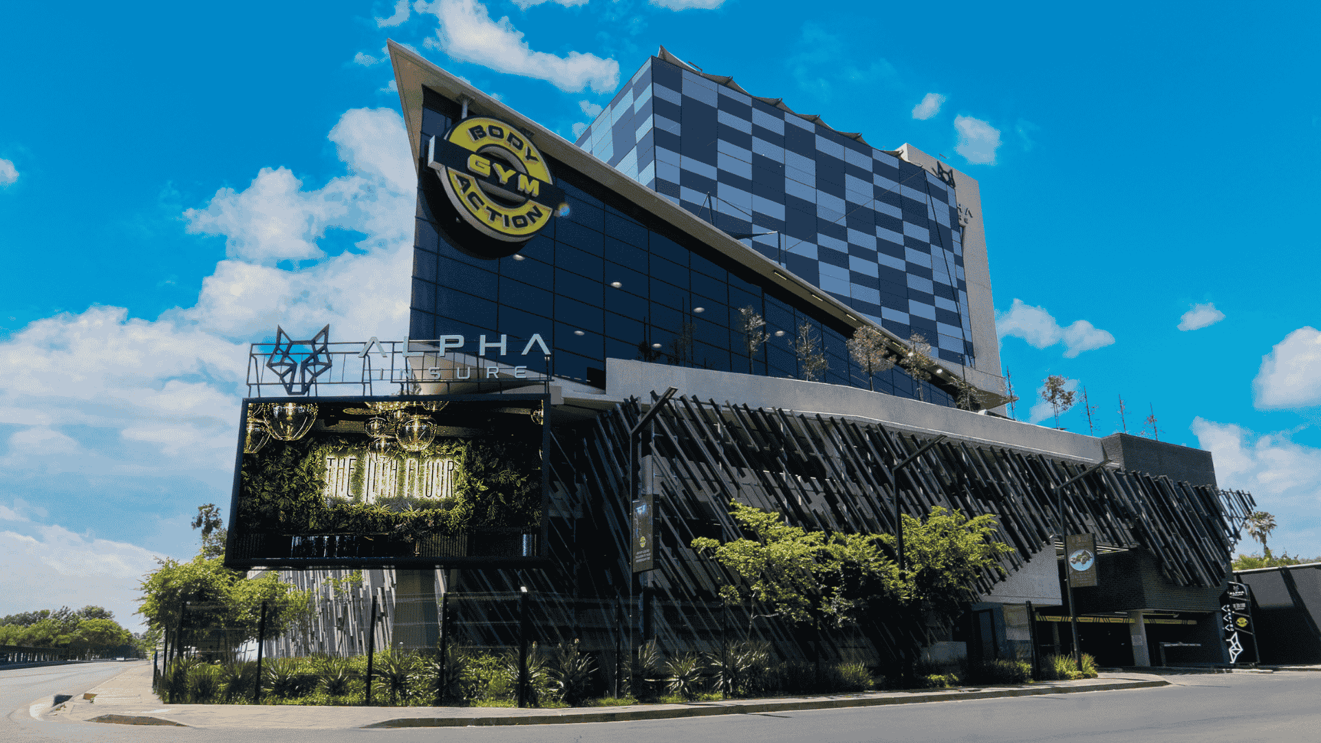Alpha wins SA's best place to work: Inside the culture behind the award