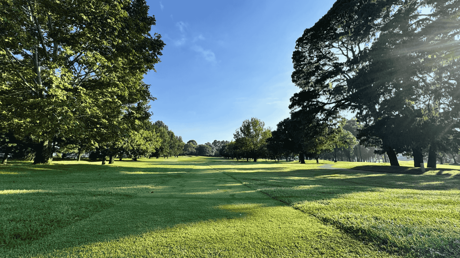 FOMO on full display at the Alpha Golf Day